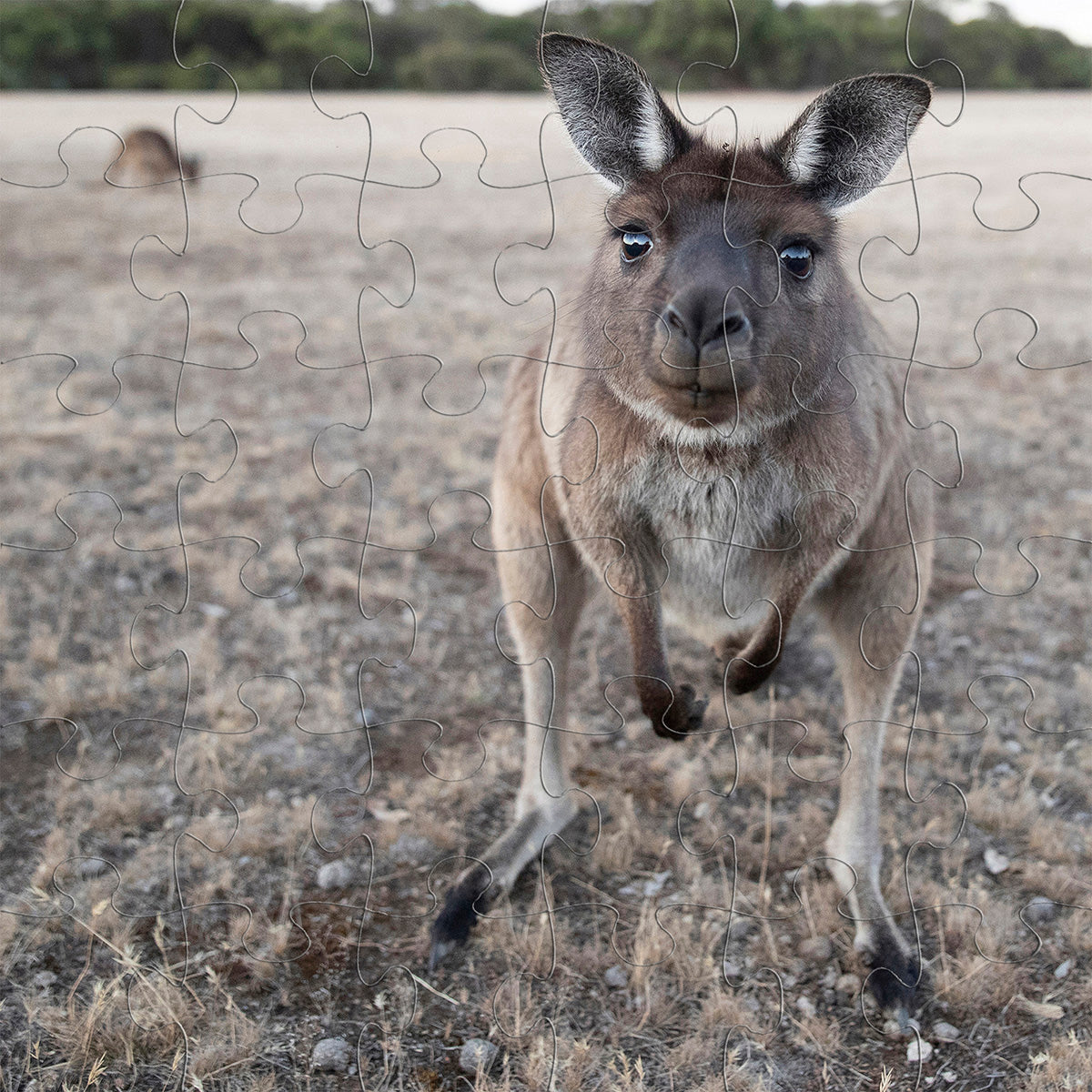 Profile Pieces - the artists who put it all together! – Jigsaw Gallery