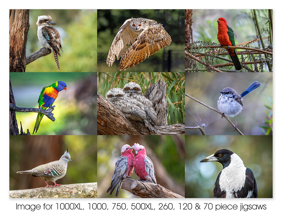 Birds – Jigsaw Gallery