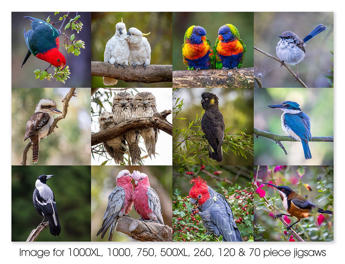 Australian Native Birds – Jigsaw Gallery