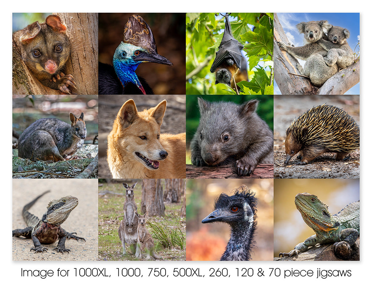 Australian Native Fauna 01 – Jigsaw Gallery