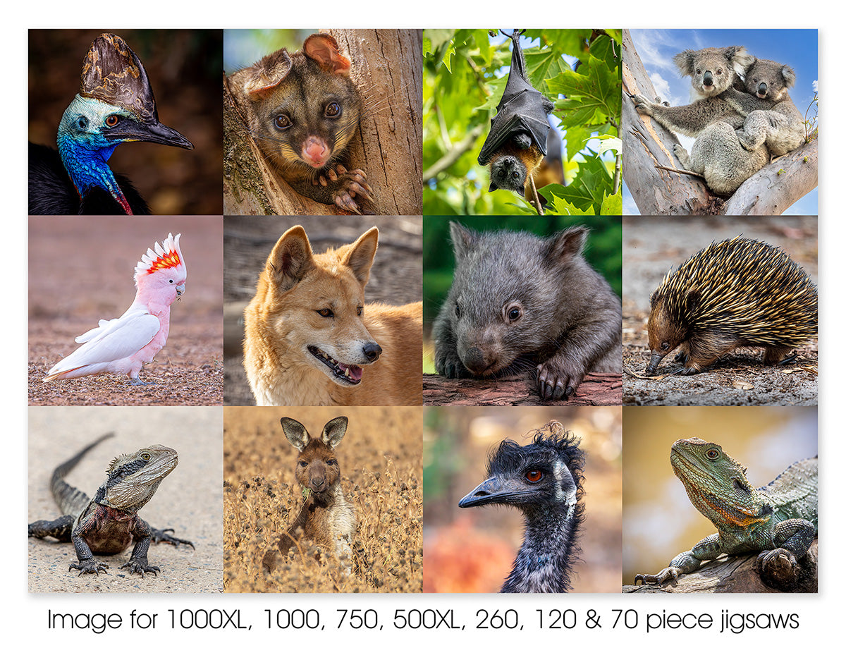 Australian Native Fauna 02 – Jigsaw Gallery
