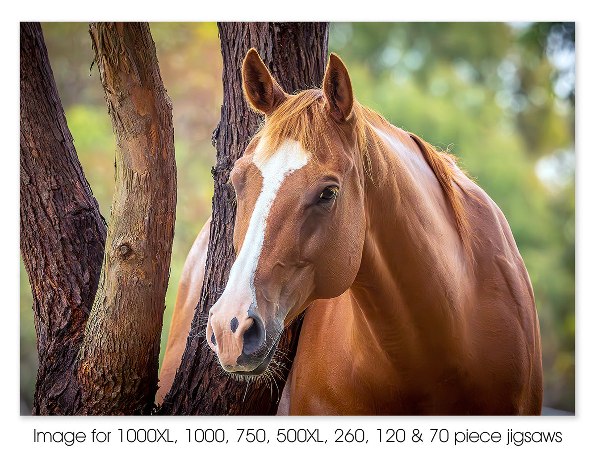 Chestbut Horse – Jigsaw Gallery