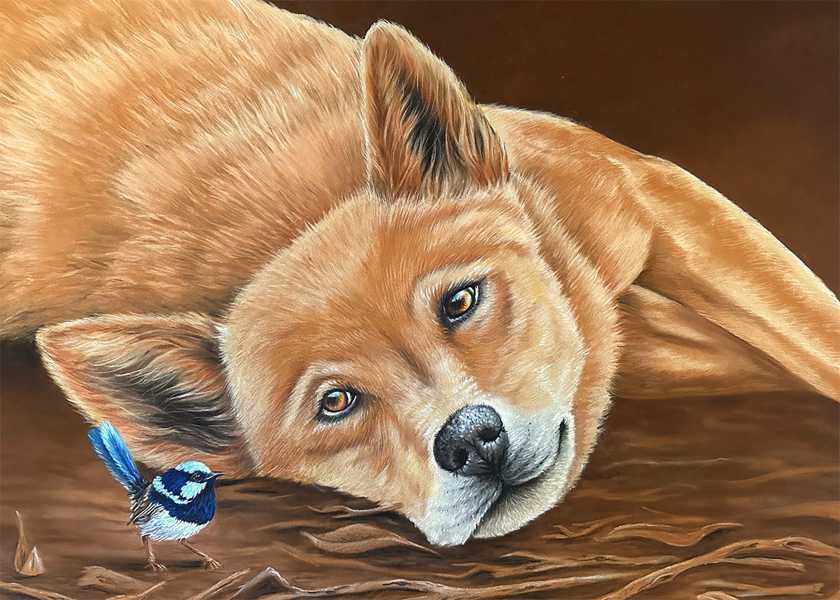 Dingo and Fairy Wren – Jigsaw Gallery