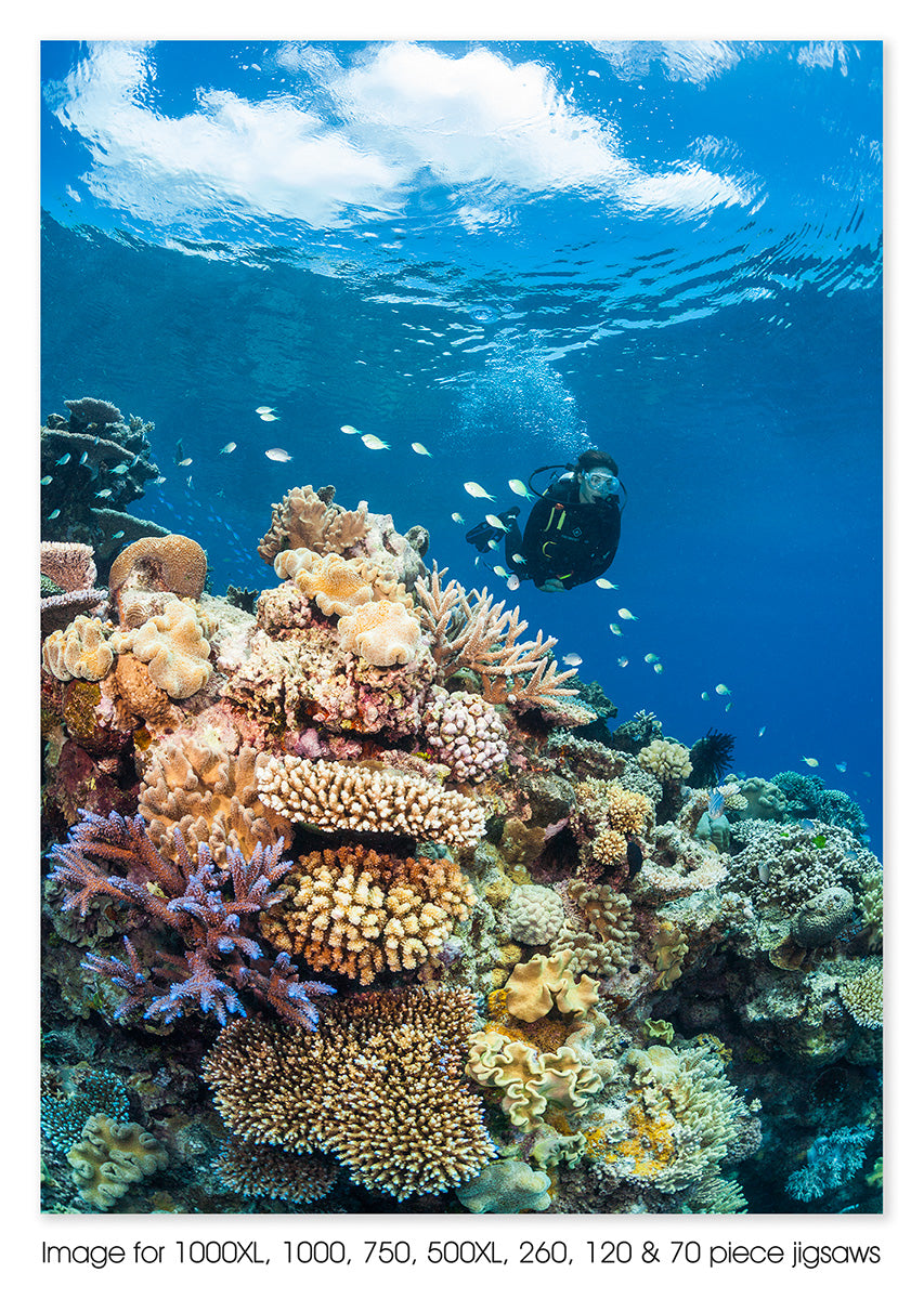 Diver at Milln Reef. Great Barrier Reef Marine Park, Cairns, QLD ...