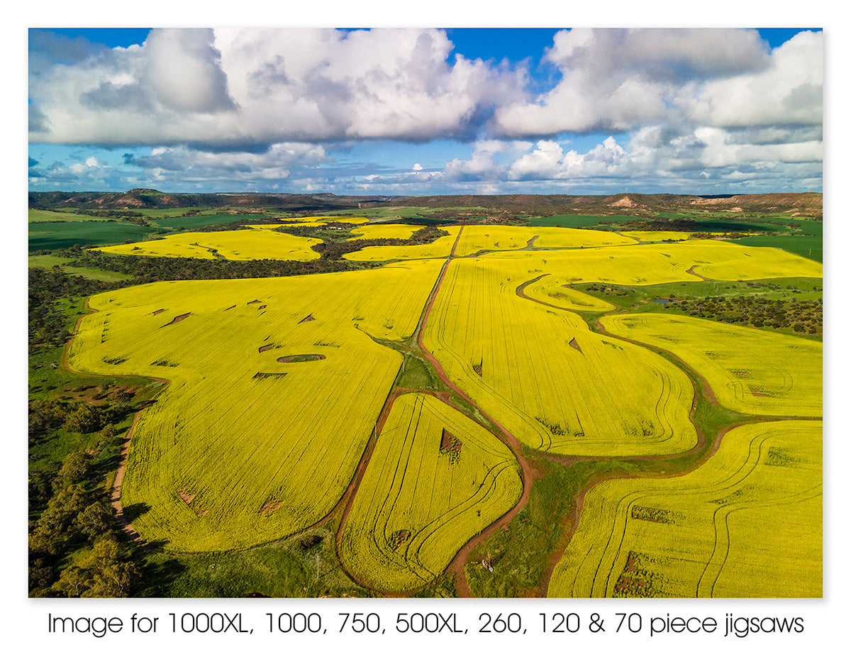 Geraldton Canola Fields, WA – Jigsaw Gallery