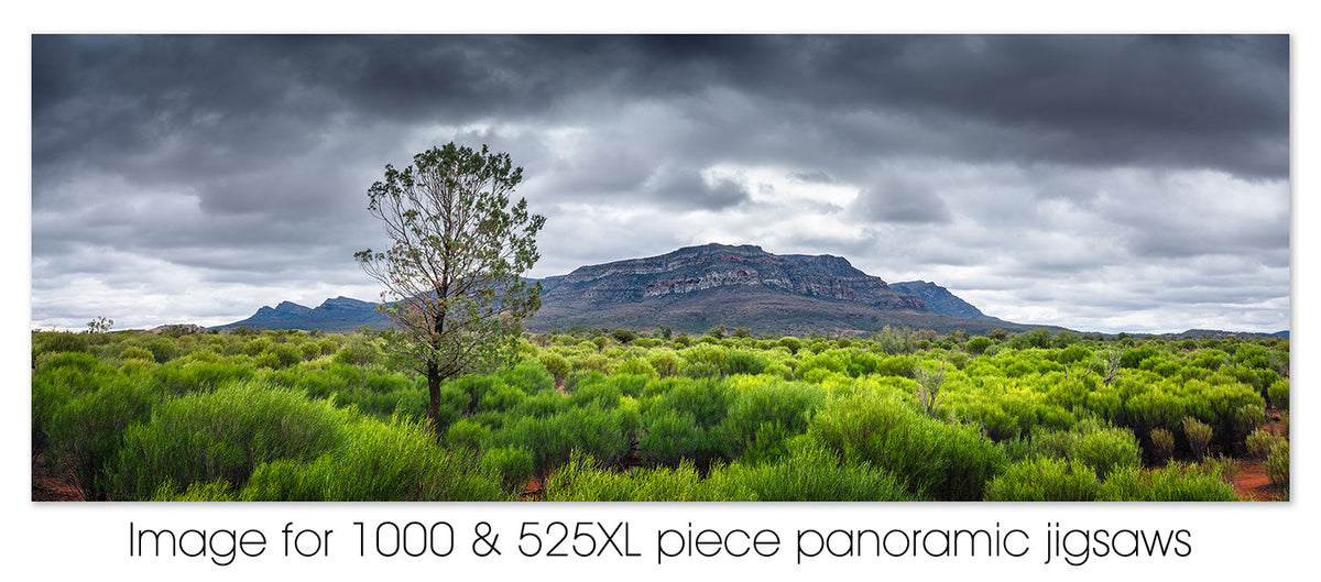 Ground Cover, Filnders Ranges SA – Jigsaw Gallery