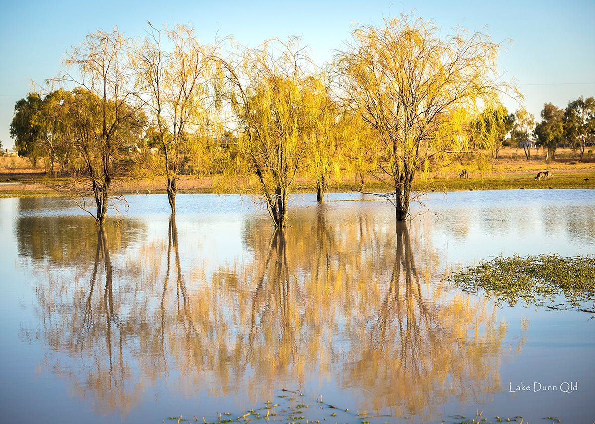 Lake Dunn Qld 02 – Jigsaw Gallery