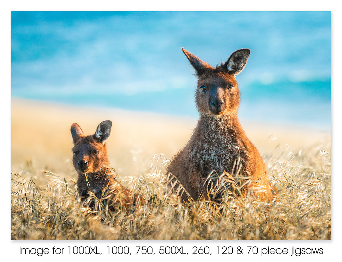 Little One, Kangaroo Island SA – Jigsaw Gallery