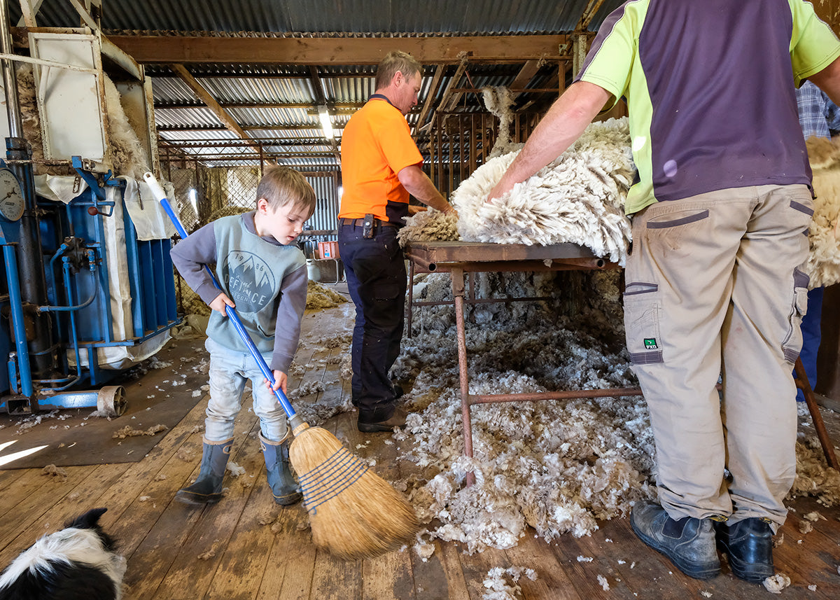 Sweeping the Wool – Jigsaw Gallery