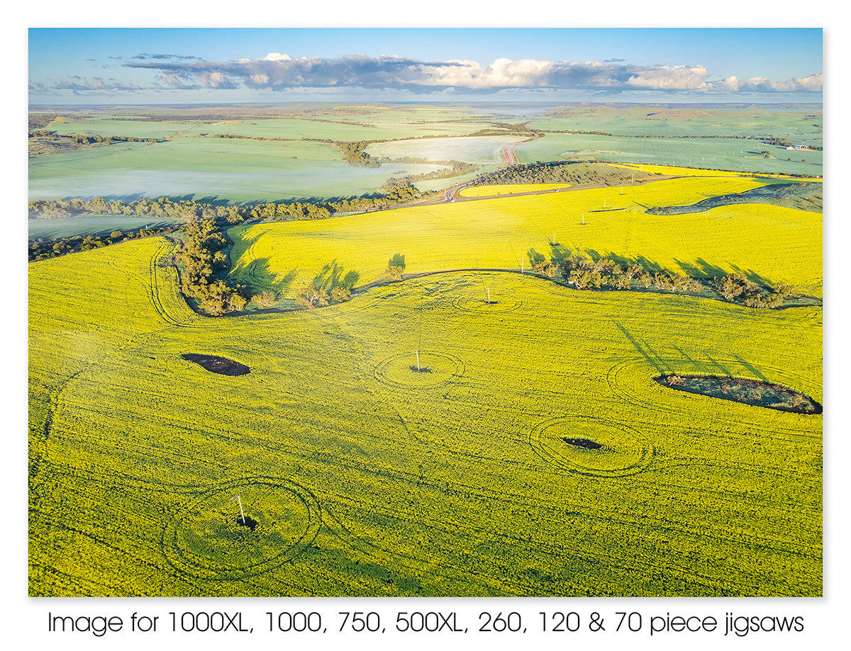 Northampton Canola Fields in the mist, WA – Jigsaw Gallery