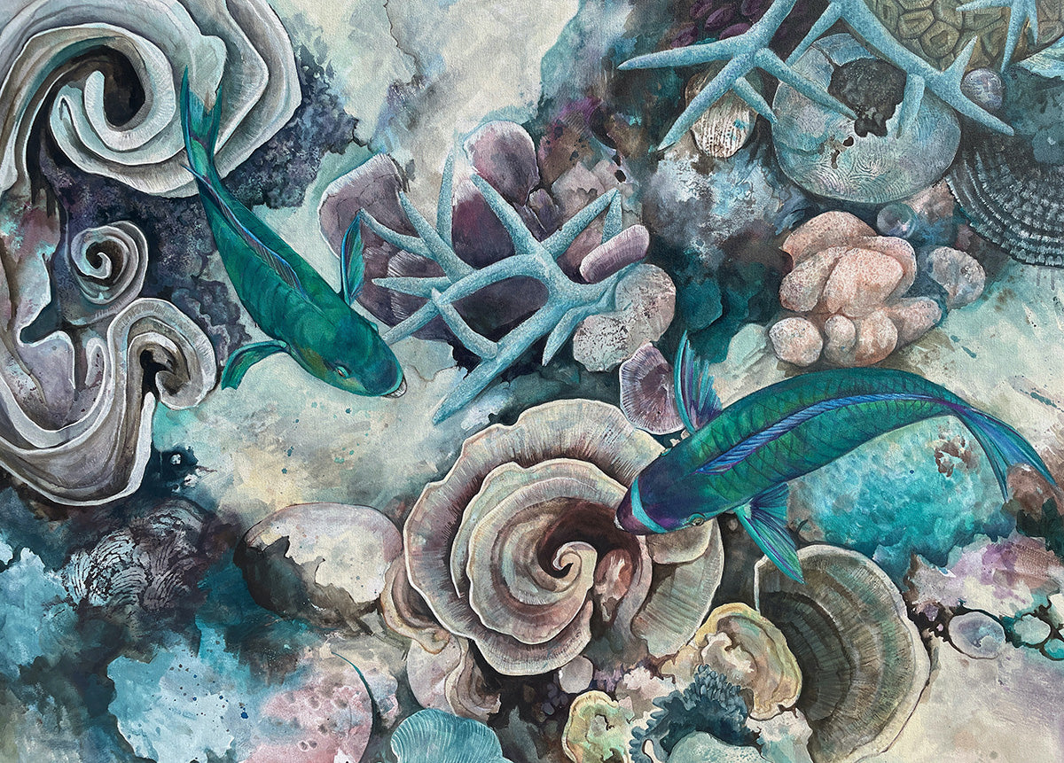 Parrotfish – Jigsaw Gallery