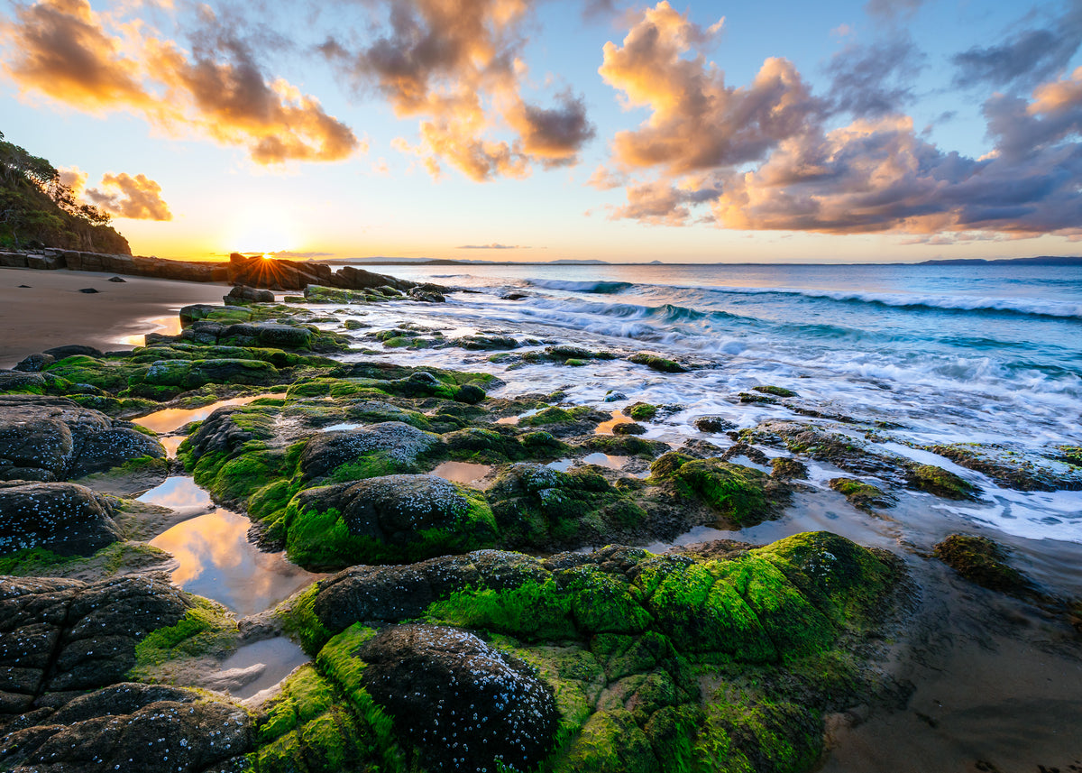 Tea Tree Bay, Noosa National Park – Jigsaw Gallery