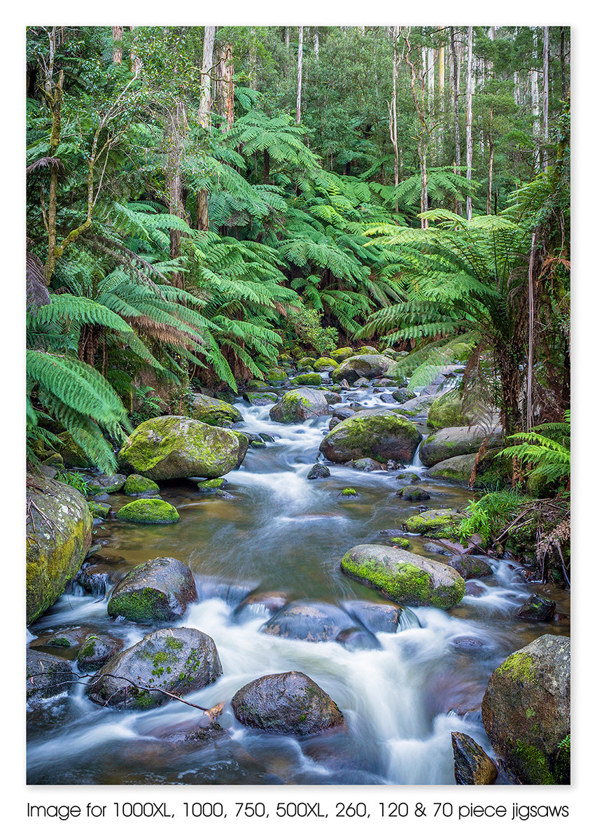 Toorongo River, Noojee – Jigsaw Gallery