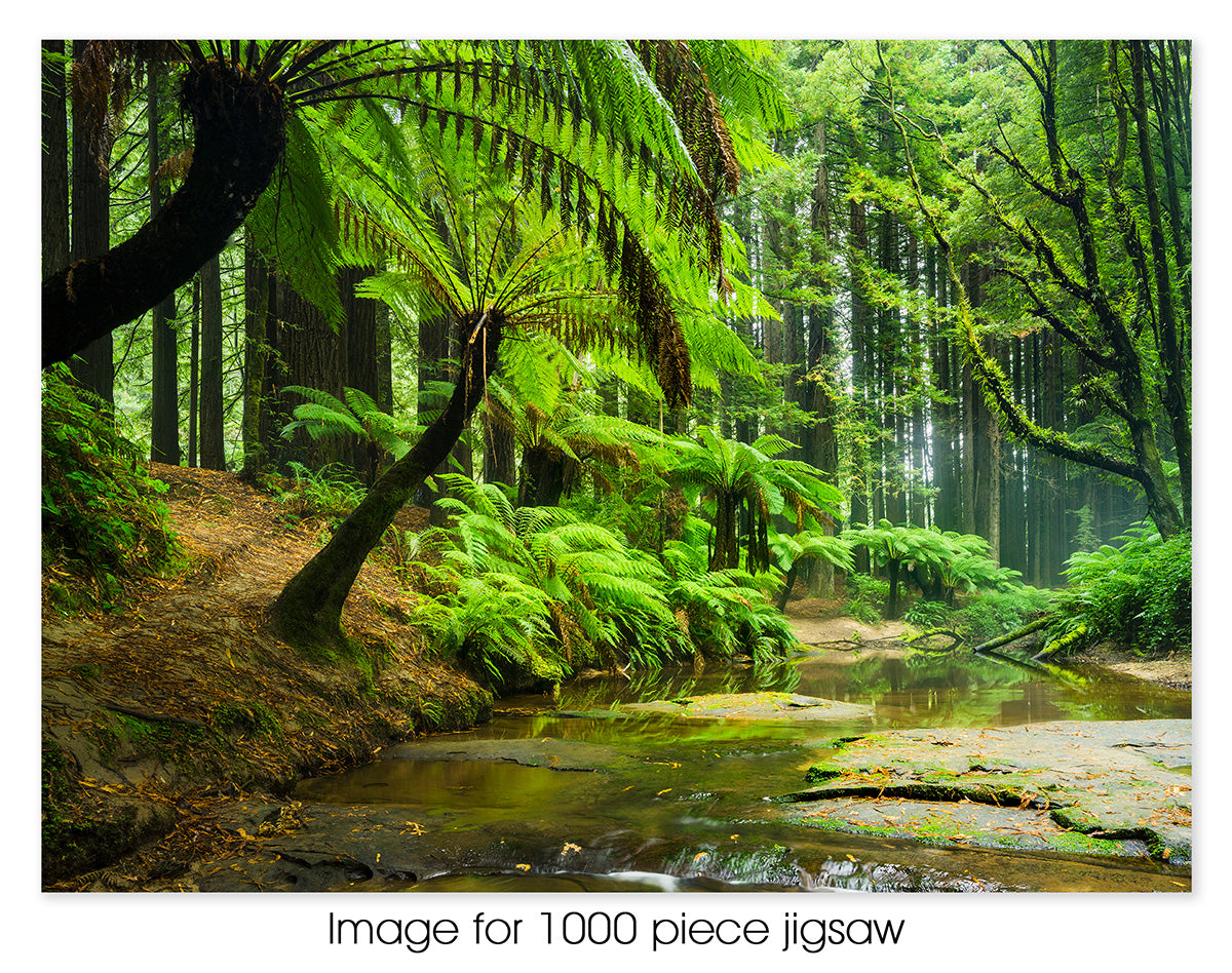 Beech Forest, VIC – Jigsaw Gallery