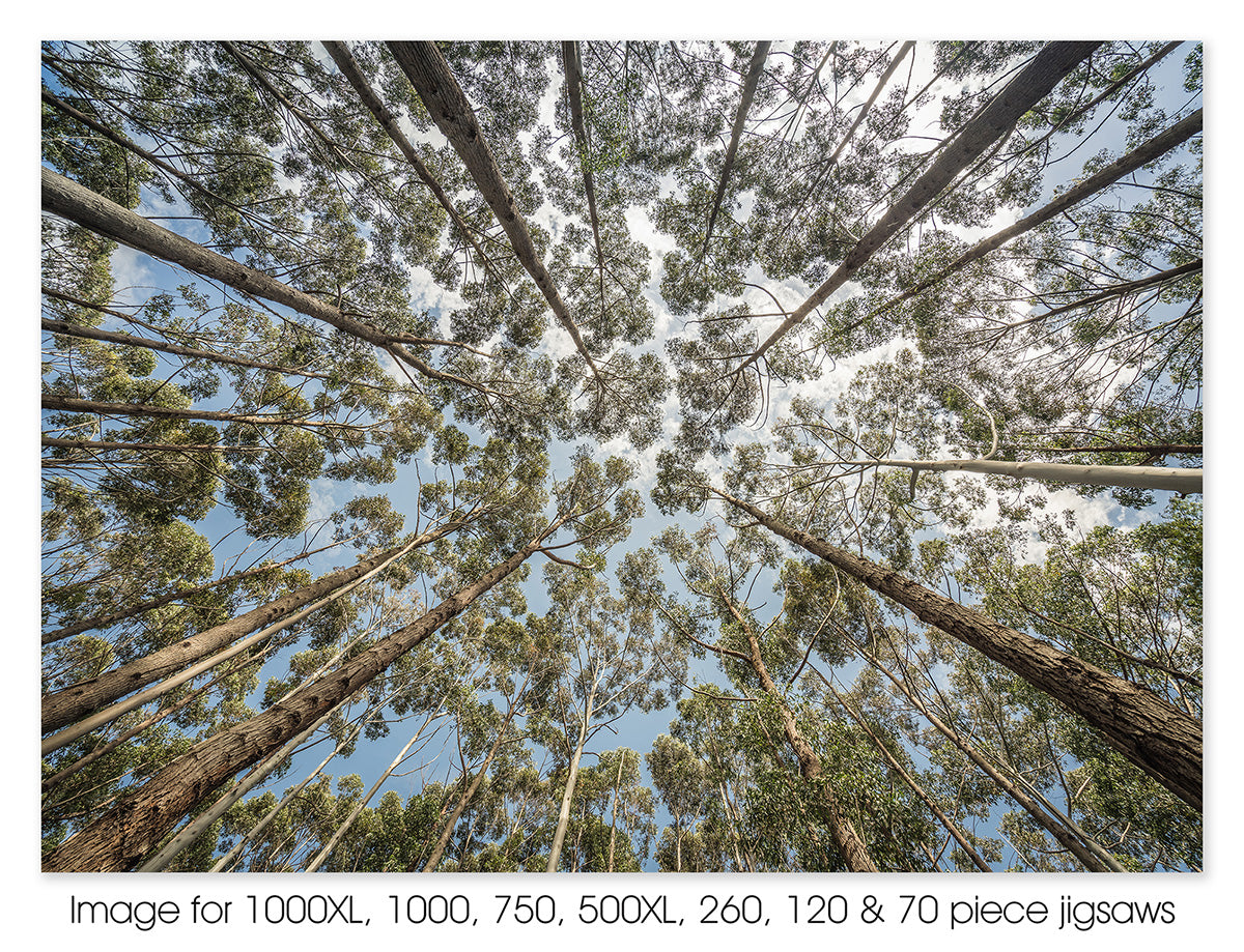 Below the Trees – Jigsaw Gallery