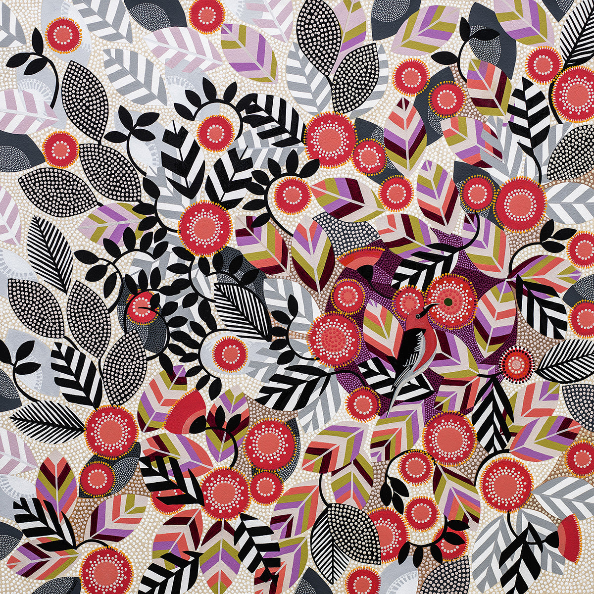 Coral Gum – Jigsaw Gallery