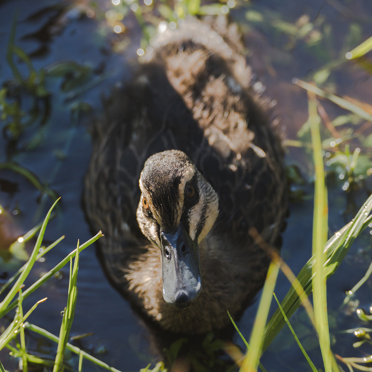 Making friends with a stranger – Jigsaw Gallery