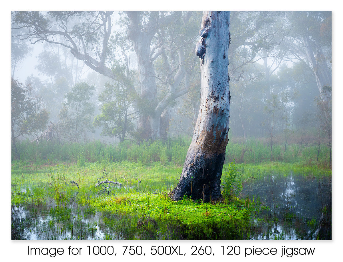 Deja vu, Nangwarry SA – Jigsaw Gallery