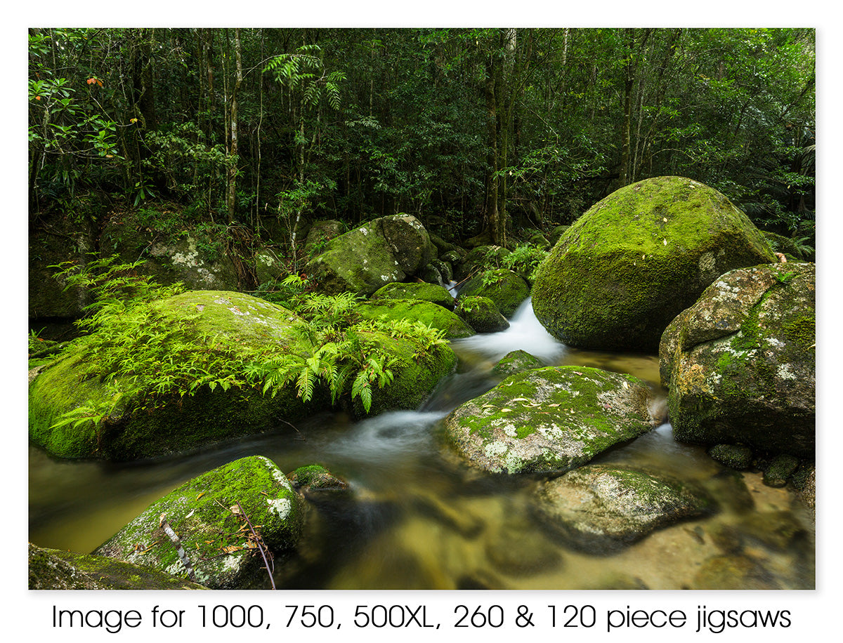 Rainforest stream, Mt Lewis National Park QLD – Jigsaw Gallery