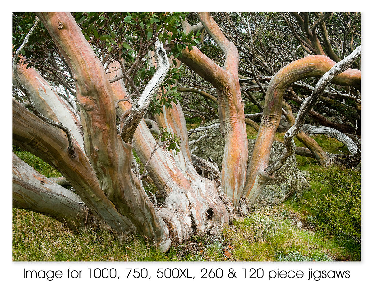 Snow Gums, Snowy Mountains National Park NSW – Jigsaw Gallery