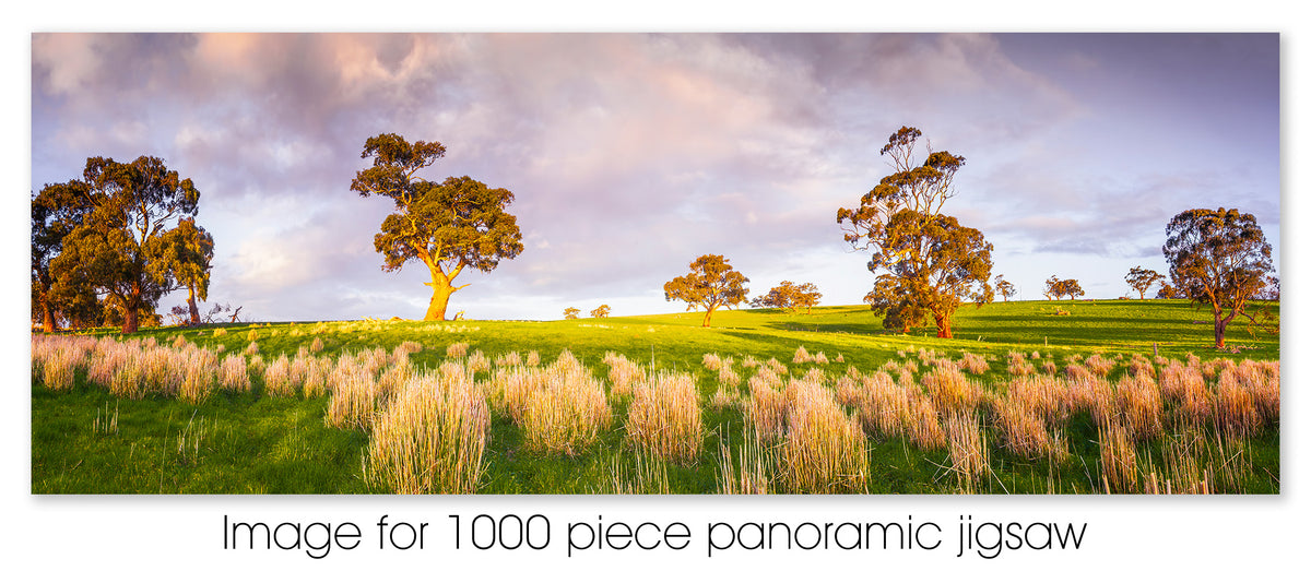 Spring Light, Clare Valley SA – Jigsaw Gallery